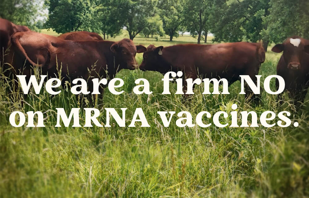 Why Our Farm Won’t be Adopting mRNA Vaccines for Livestock. Ever. REP ...