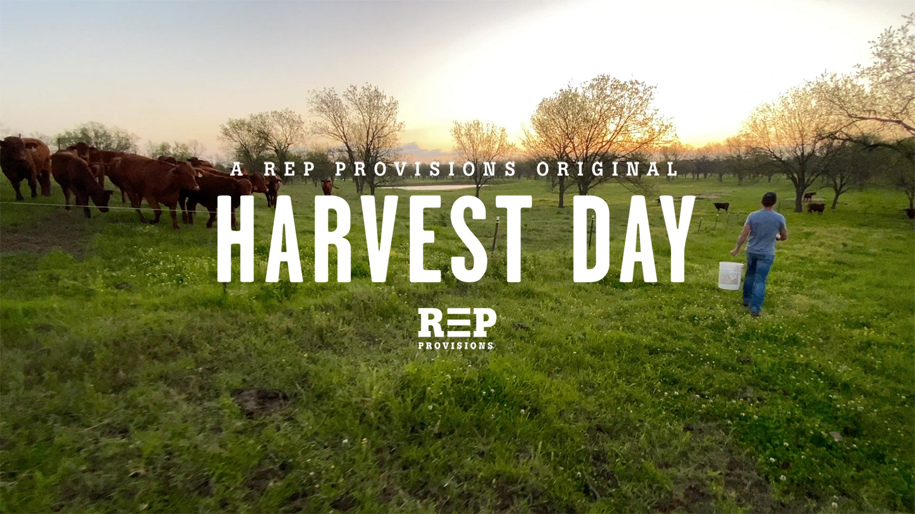 About REP Provisions | Regenerative Farm to Table