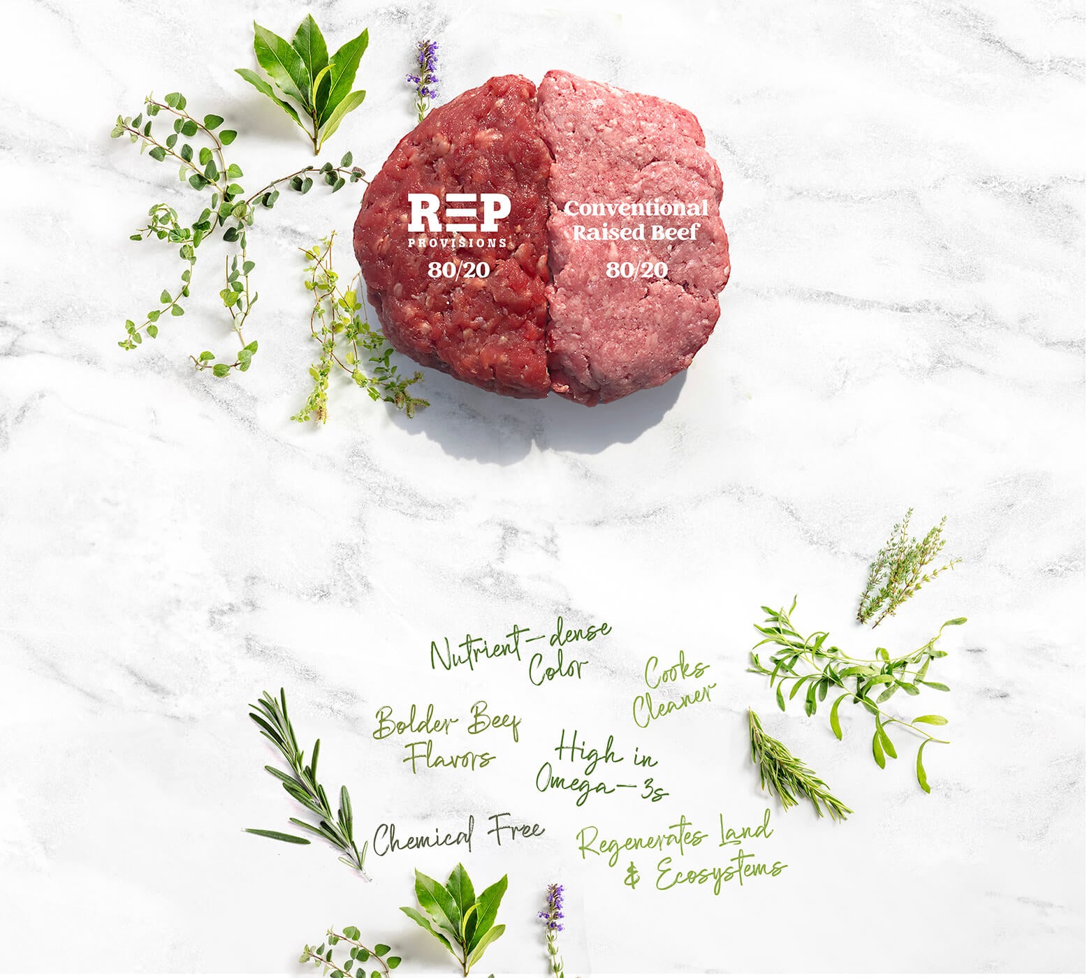 REP PROVISIONS - THE REGENERATIVE COMPANY – REP Provisions
