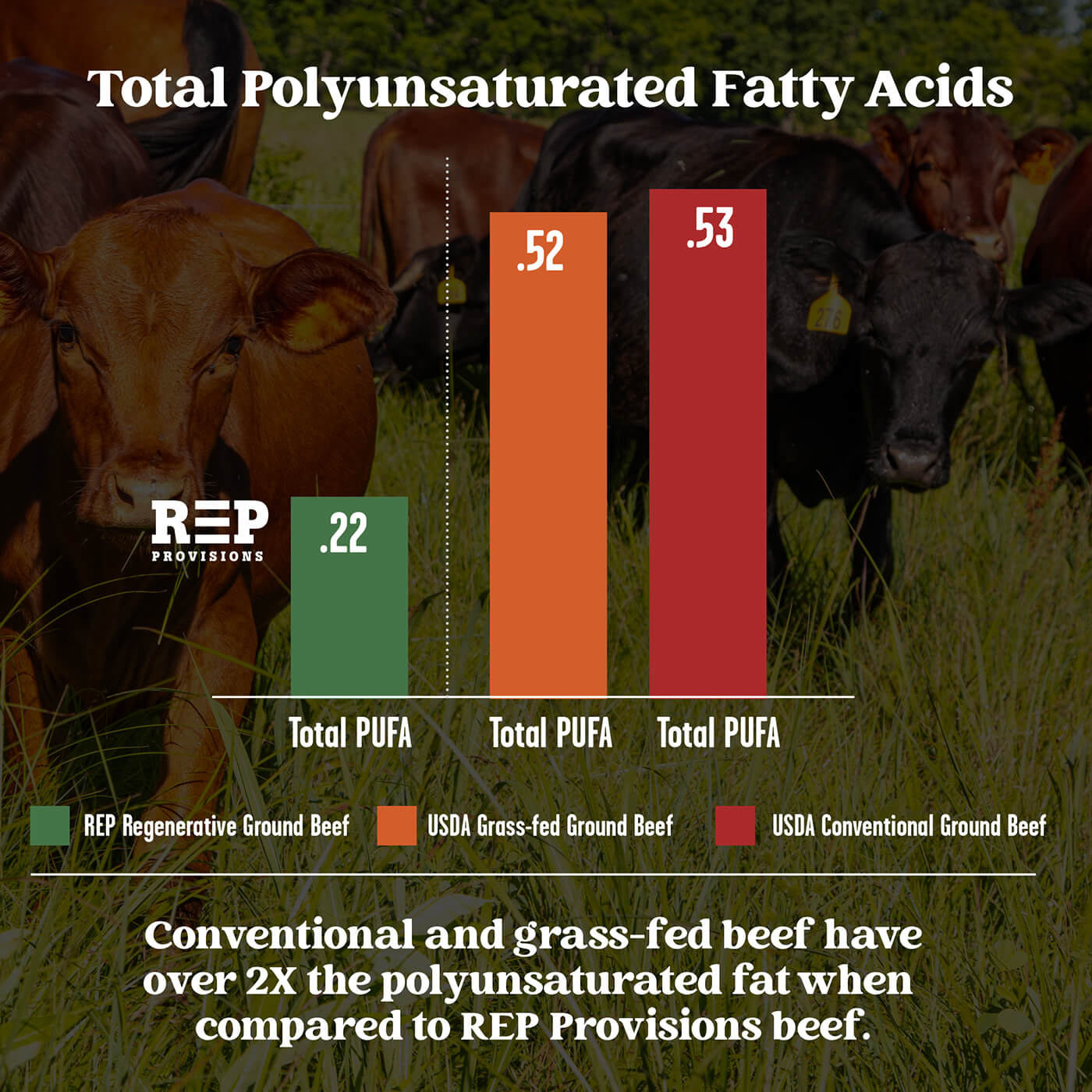 Why REP Regenerative Beef is Healthier for You? – REP Provisions