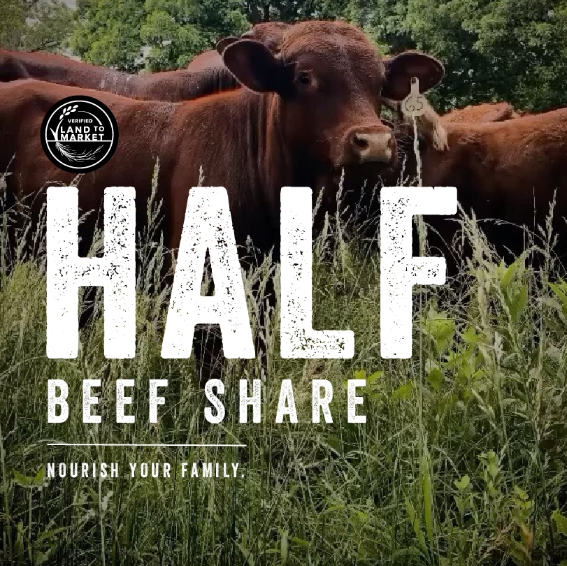HALF BEEF SHARE – REP Provisions